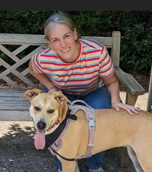 Conformal Coating Removal - How to Get Started W/Reference